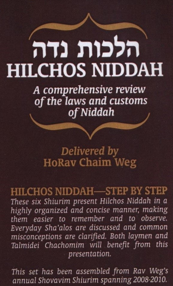Torah 2 Go: Hilchos Niddah (USB) – Judaica Plaza