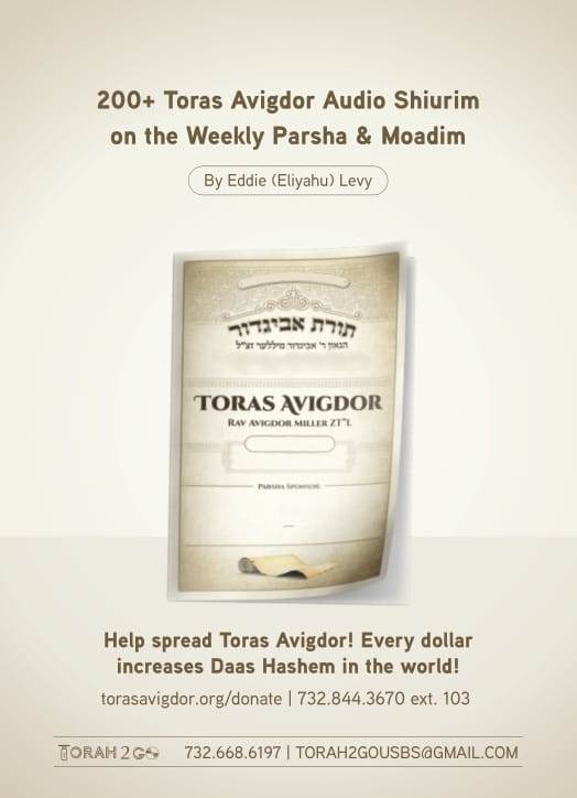 Torah 2 Go: Toras Avigdor (USB) – Judaica Plaza