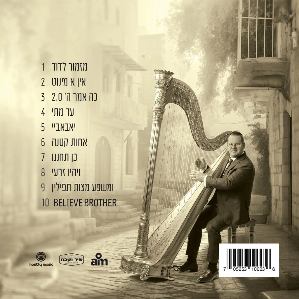 Yoel Dovid Goldstein - Mizmor L'Dovid – Judaica Plaza
